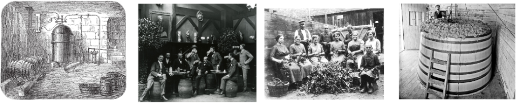 About beer – Winterberg Beer